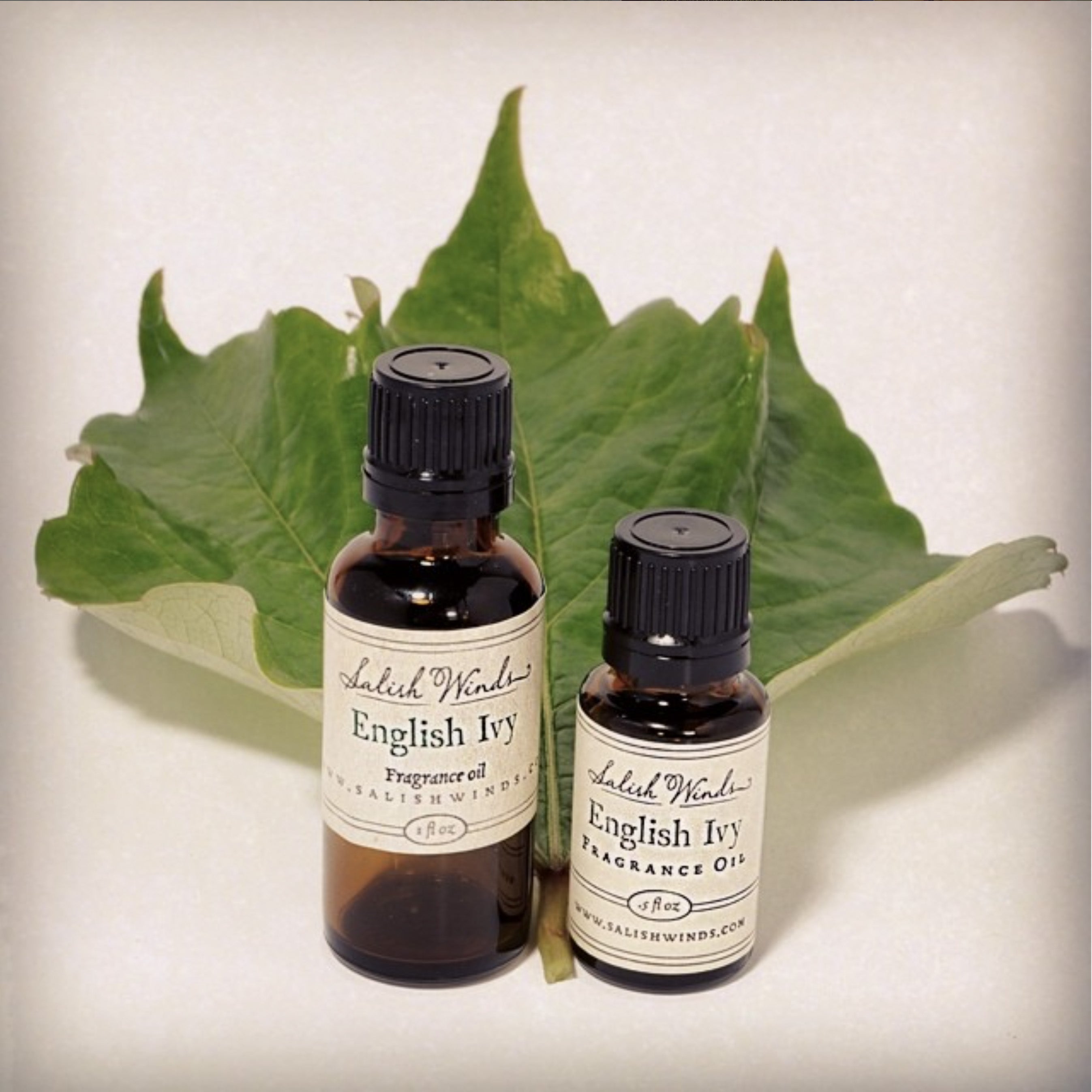 Fragrance oil, Fragrance oils, Aromatherapy, Home fragrances – Salish Winds